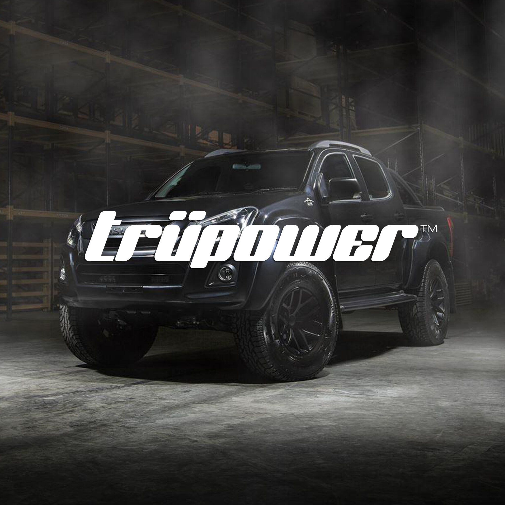 Isuzu D-Max/Holden Rodeo 3.0L 4JJ1 Diesel Fuel Injector 2012-2015 ...